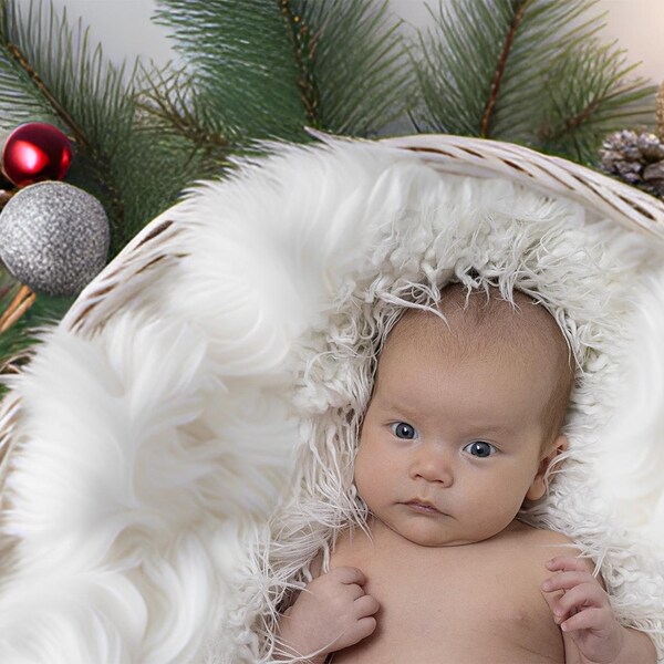 Christmas Newborn Digital Backdrop With Christmas Tree Fir Branches and ...