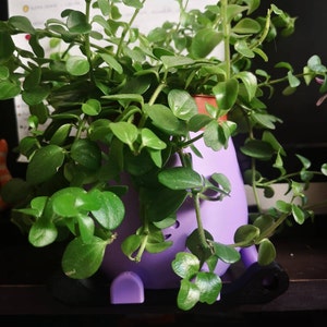 Green Plant Pot Face Happy Cute Plant Pot Decoration Indoor Planter Pot ...