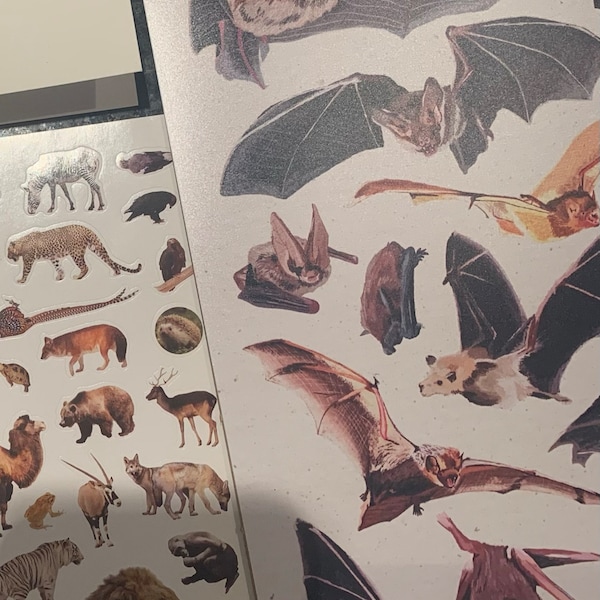 Animals of Yellowstone National Park 11x14 - Etsy