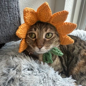 Angel Halo Cat Hat Angel Cat Costume Angel Hat for Pets - Etsy