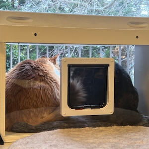 Cat Solarium Sunroom Package: the Ultimate Cat Window Box. | Etsy