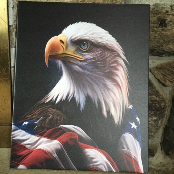 Bald Eagle With American Flag Background | Digital Download for Posters ...