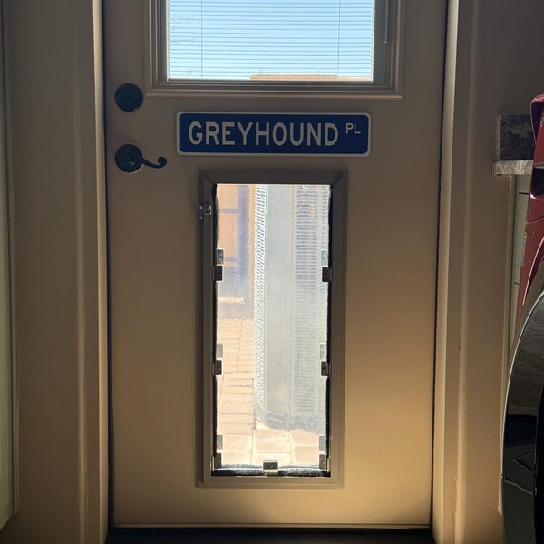 Gila Monster, Gila Monster Gift, Gila Monster Sign, Gila Monster Decor ...