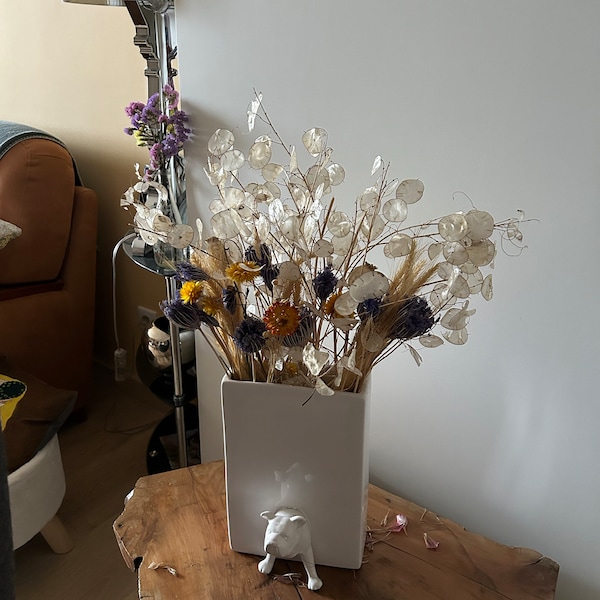 Dried Lunaria - Honesty Flowers White/cream All Natural - Etsy