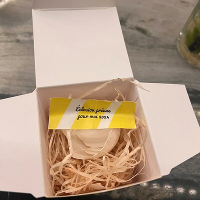 Love Message Diorama Box, Small Message Box, Valentine's Day, Valentine ...