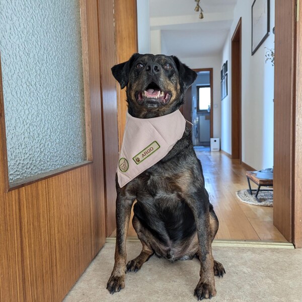 Water Mountain Forest, SAFE HUNTER Patch, Velcro Patch, Jackalope ...