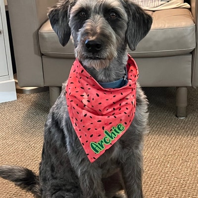 Adult Headband 2000s Style Headbands for Women Yoga - Etsy