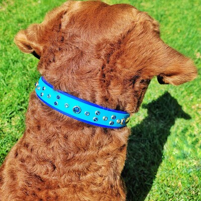 Standard 3/4 Beta Biothane, Webbing Strap, by the Foot, the Vegan ...