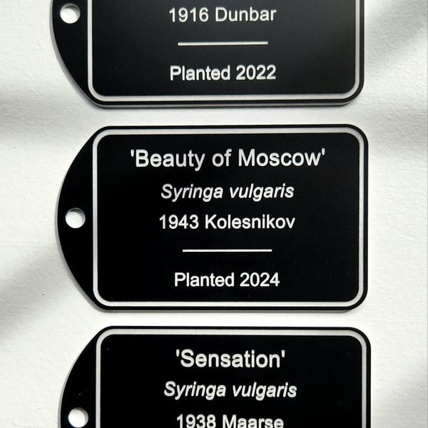 Custom Engraved Acrylic Tree Plaque | Personalized Garden Sign ...