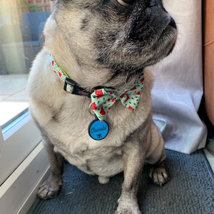 Grey Dog T-shirt Dog Tees Dog Shirts Pet Shirts XXS to - Etsy