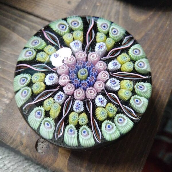 Collectable Franz Porcelain Dragonfly Cup & Saucer Set - Etsy