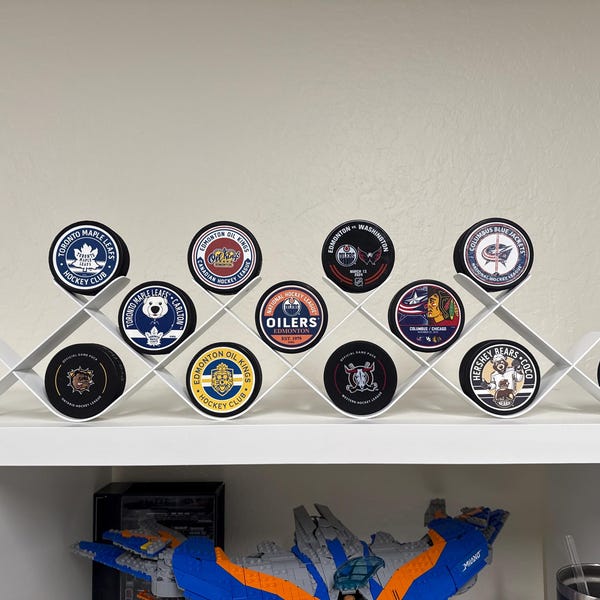 Hockey Shinny Stick Wall Hang Organizer - 3D Printed Mini Stick Rack ...