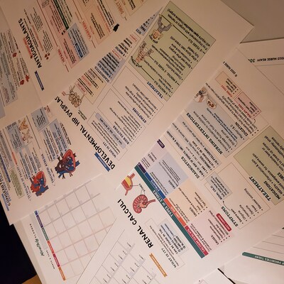 Nursing School Notes Success Bundle: Fundamentals, Medsurg ...