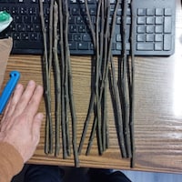 100 japanische Quittensamen. 100 frische Samen Chaenomeles japonica ...