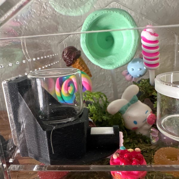 Custom Jumping Spider Enclosure From Kritter Kribs With Magnetic ...