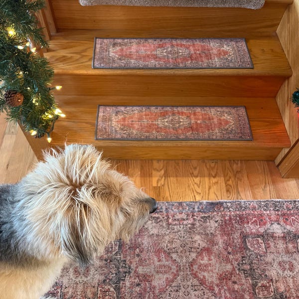 Stair Runner Rug, Machine Washable Rug, Stairs Mat, Easy to Clean ...