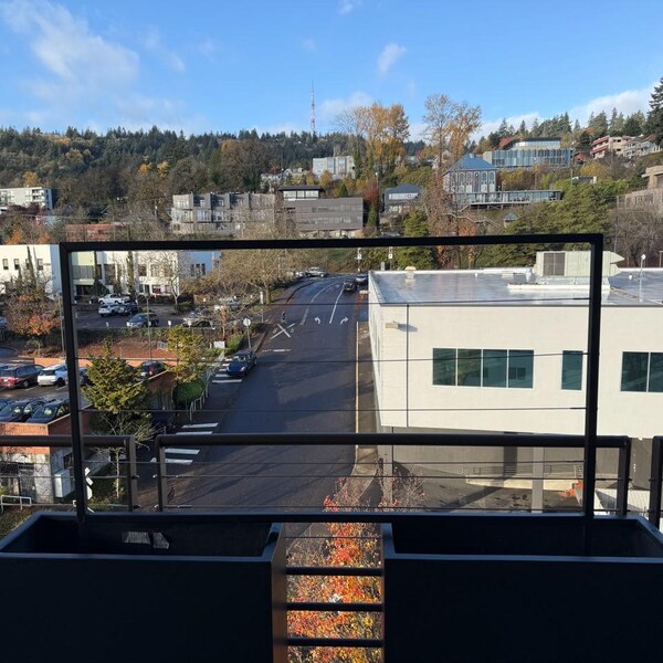 Jumbo Trellises, Multiple Sizes, Classic Metal Garden Trellis ...