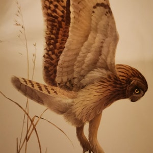 Antique Ohio Rose Quilt Pattern/ Applique Block Pattern Quilt | Etsy