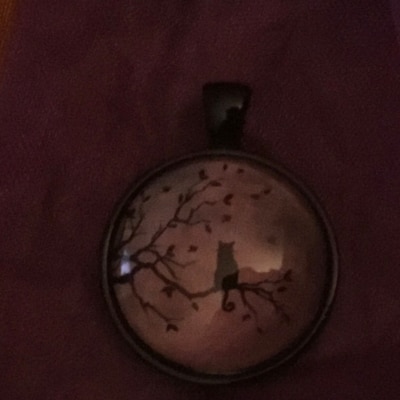 Pink Moon Kitty Full Moon and Cat on a Branch Pendant, Necklace or Key ...