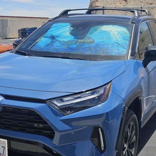 Ragdoll Car Sunshade, Ragdoll Cat Gift, Ragdoll Car Decor, Ragdoll Auto ...