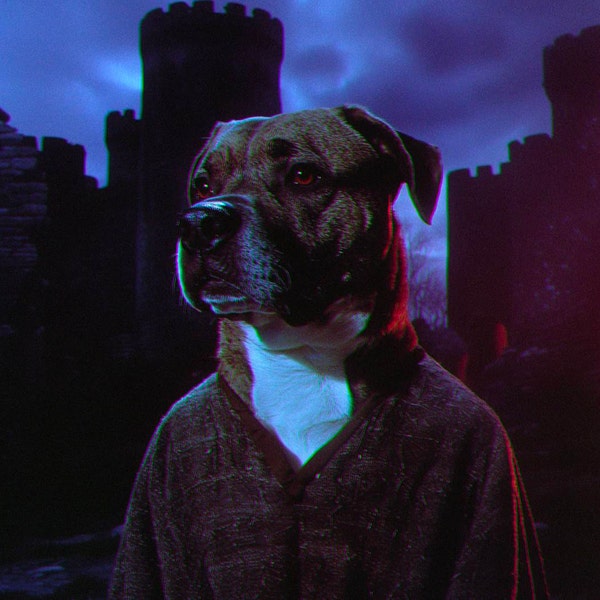 I Cast Pspspspsps Holographic Magnet Cat Wizard - Etsy