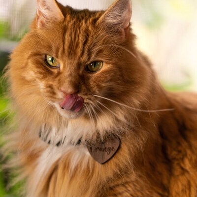 Personalized Heart Stanley Topper Custom Stanley Topper Personalized ...