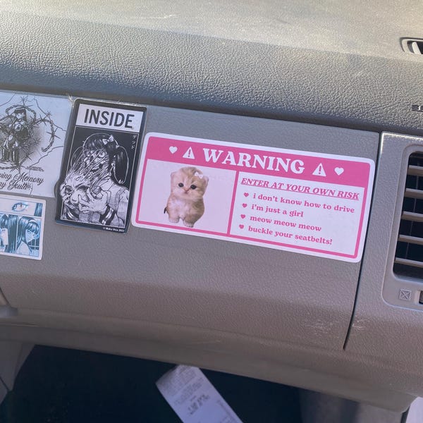 This is Who You're Honking at | Cat Meme Car Bumper Sticker OR Magnet ...