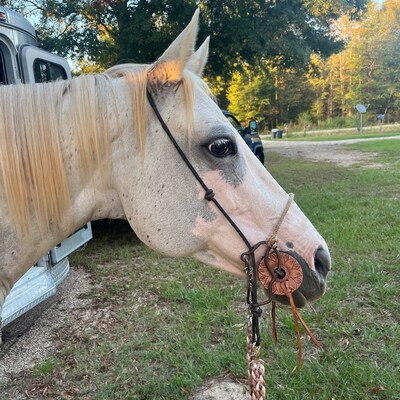 Belt Style Turquoise Buckstitch Split Ear Headstall Activeleather ...
