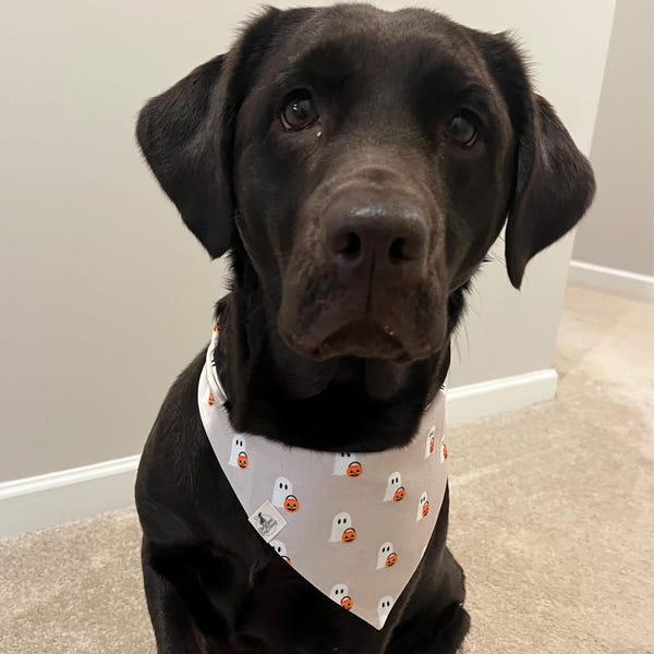 Ghost Trick or Treat Scrunchie Dog Bandana, Halloween Pet Accessories ...