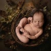 4 Maternity Digital Backgrounds Bundle, Digital Composite Pregnancy ...