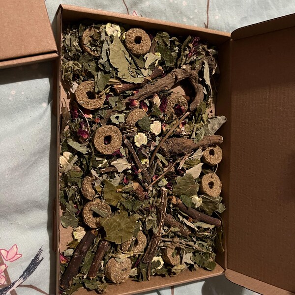 Forage Box Rabbits, Guinea Pigs, Hamsters, Rats - Etsy UK