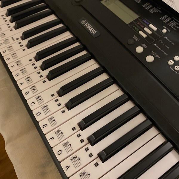 Piano Stickers for 61 Key Piano or Keyboard 36 White Key Kids Monster ...