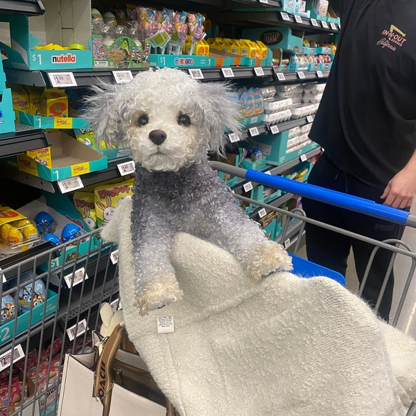 Puppy Michelle , made to Order Poodle Dog , Toy Poodle, Fur Toy Poodle ...