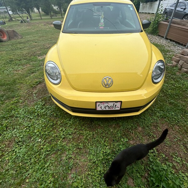 Airbrushed Car Tag Colorful Beach Scene Front License Plate Custom ...