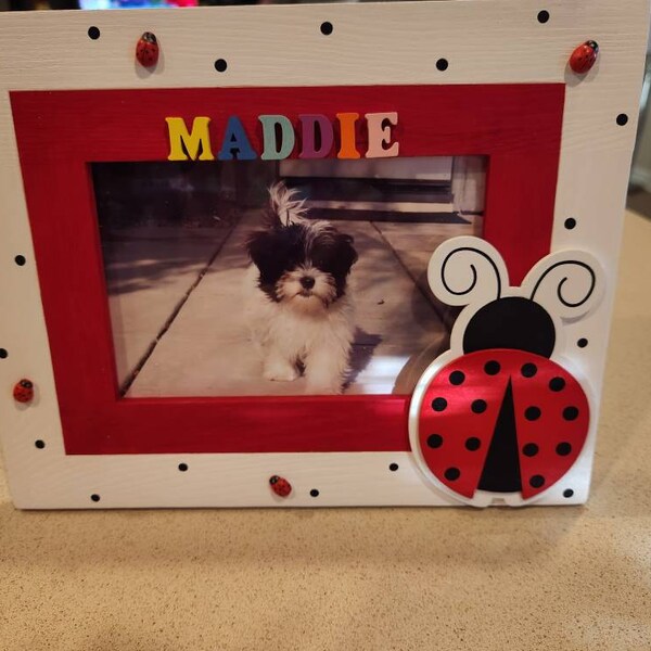 Ladybug Picture Frame, Personalized - Etsy