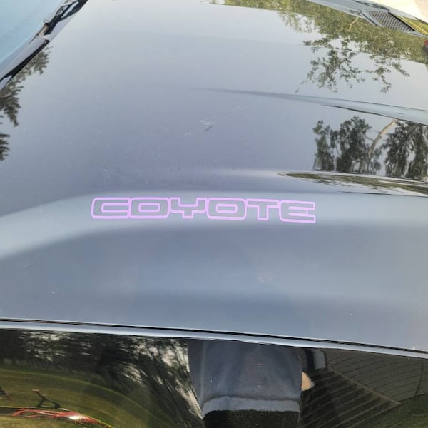 C5 Corvette Racing Decal Sticker - Etsy