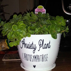 Anxiety Plant Pot - Etsy