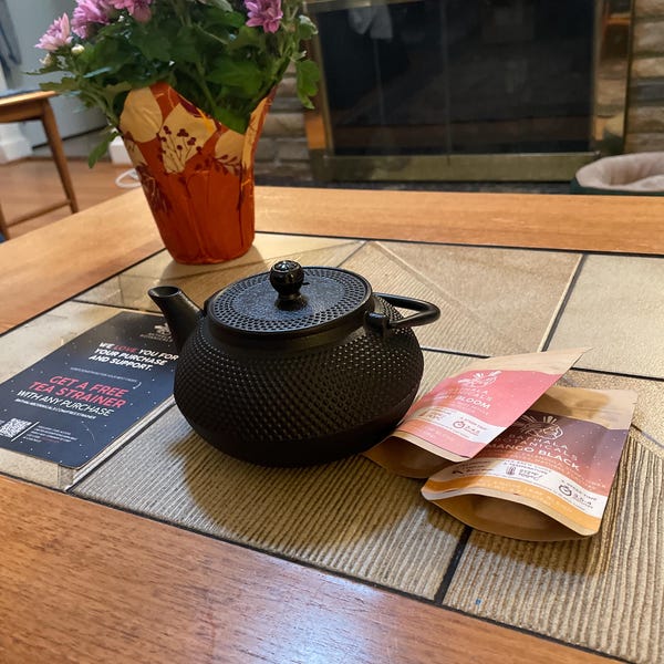 Black Cast Iron Teapot: 600ml With Stainless Steel Infuser - Bathala ...