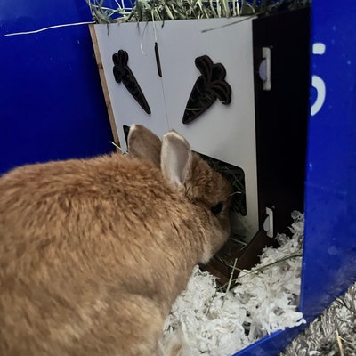 Bunny Castle With Twin Closed Towers, Oak Black Rabbit Palace With Two ...