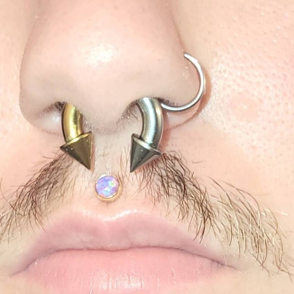 HALF GOLD / SILVER (4G, 5G, 6G, 7G, 8G, 10G, or 12G) Anodized Astm F136 ...