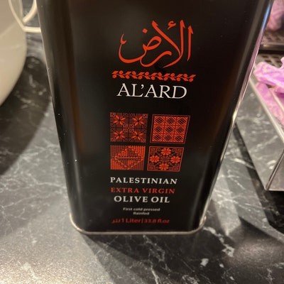 Jumpsuit Overwhole With a Skirt Traditional Embroidered Palestinian ...