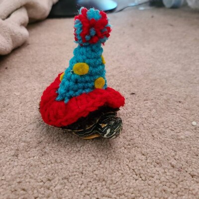 Birthday Hat Costume for Turtles/tortoises - Etsy