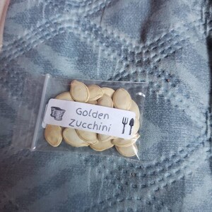 USA SELLER Obsession Sweet Corn 25 Seeds HEIRLOOM | Etsy