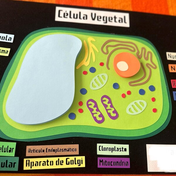 Planet Fandex SVG and PDF- Solar System SVG for Kids - Learning About ...