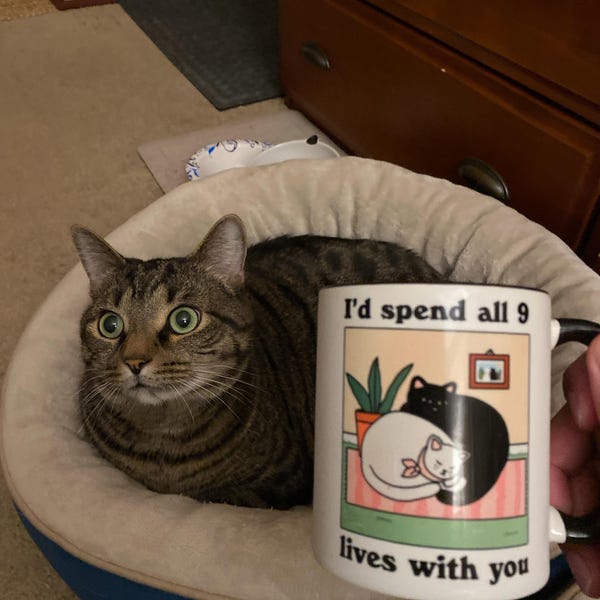 Another Day, Another Slay Sad Hamster Meme Gen Z 11oz Mug, Colorful Mug ...