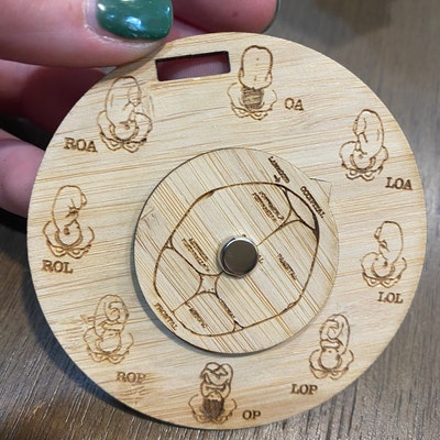 CEPHALIC Bamboo Midwifery Fetal Position Tool for Midwives, Student ...