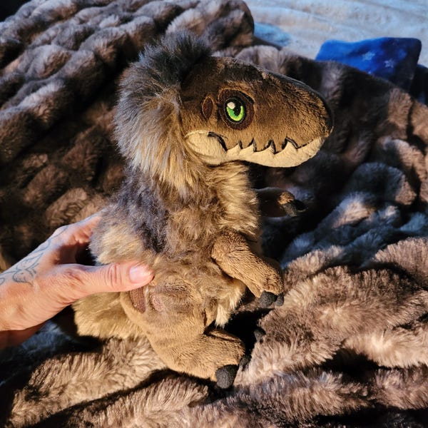 Sarcosuchus - Pocketsaurus - Beanie Plush - Artist Made - Unique ...