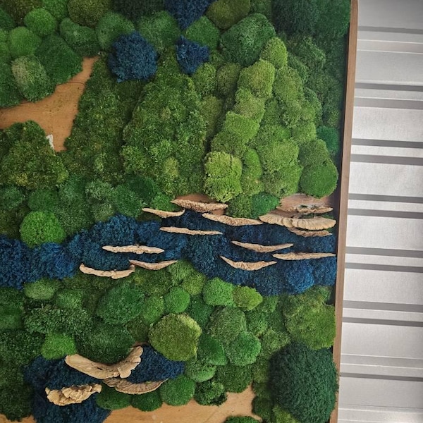 Green Reindeer Moss Wall Panel, Vertical Garden Decor, Stabilized Moss ...