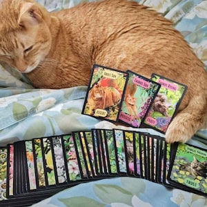 Spring Equinox Oracle Card Deck With 50 Cards and PDF Guidebook - Etsy