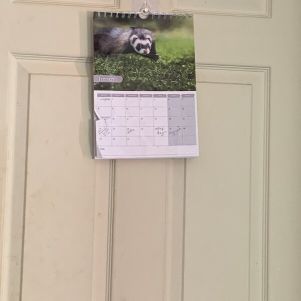 Caterpillar Calendar 2025: Monthly Wall Calendar With Notes, Hanging A4 ...